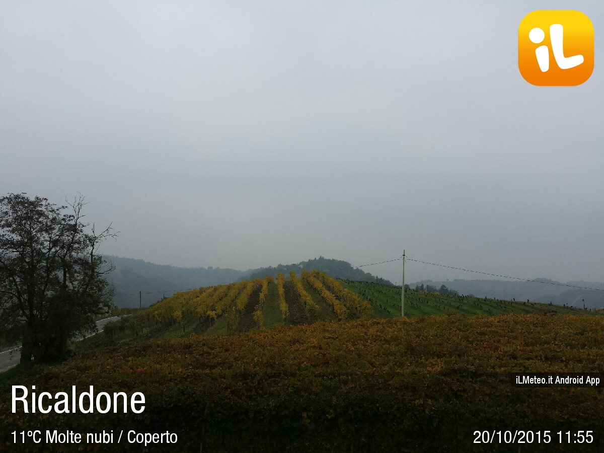 Foto meteo - Ricaldone - Ricaldone ore 11:55 » ILMETEO.it