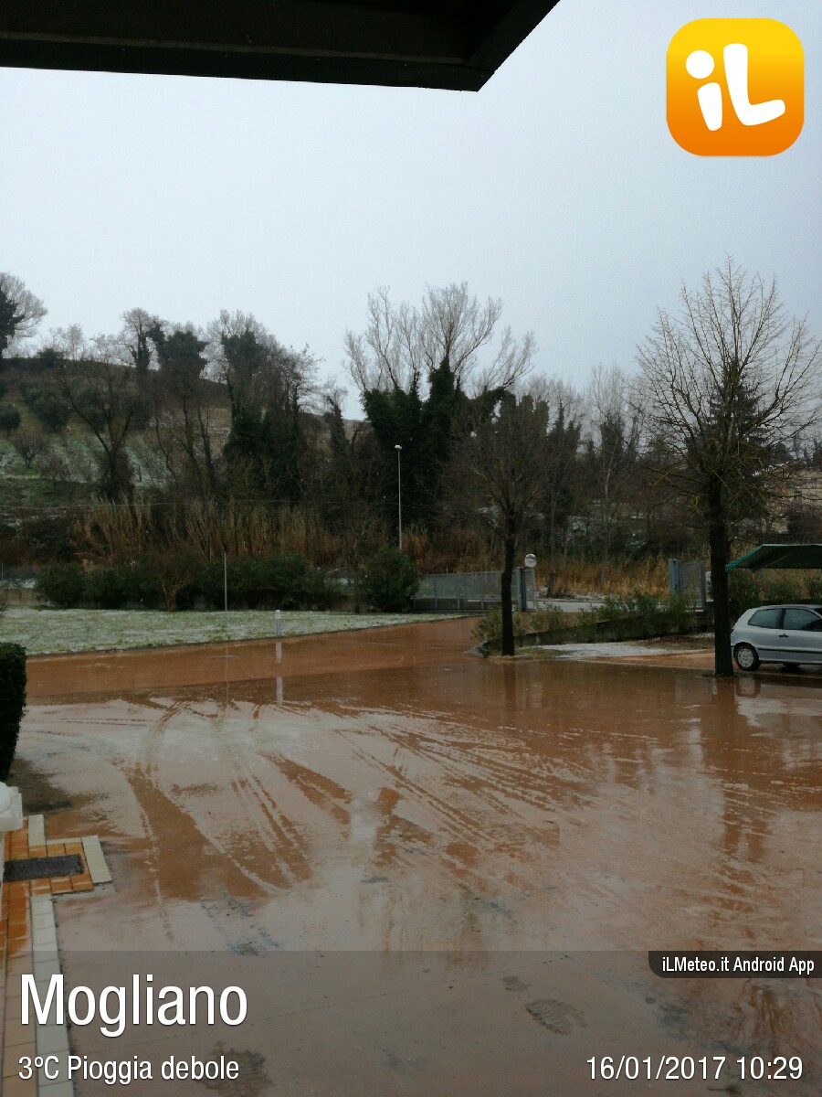 Foto meteo - Mogliano - Mogliano ore 10:29 » ILMETEO.it