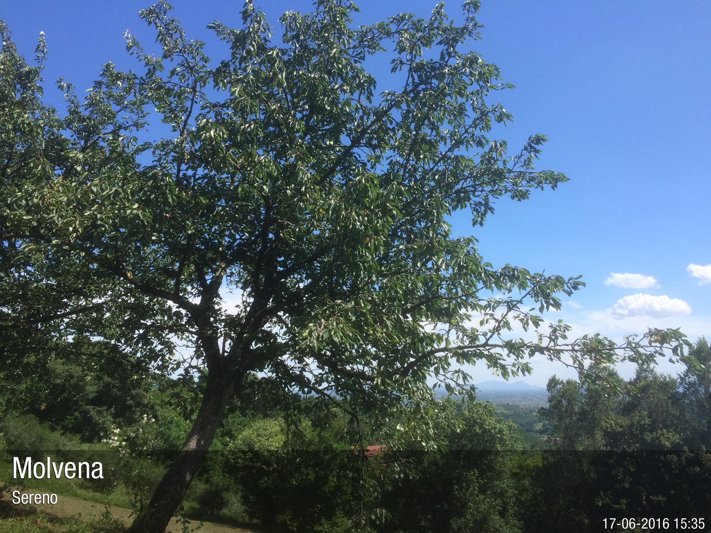 Foto meteo - Molvena - Molvena ore 15:35 » ILMETEO.it