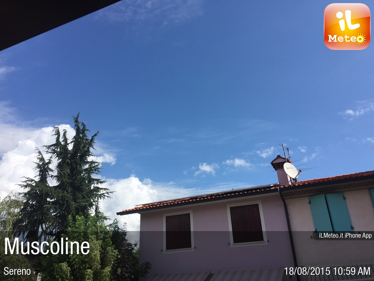 Foto meteo - Muscoline - Muscoline ore 10:59 » ILMETEO.it