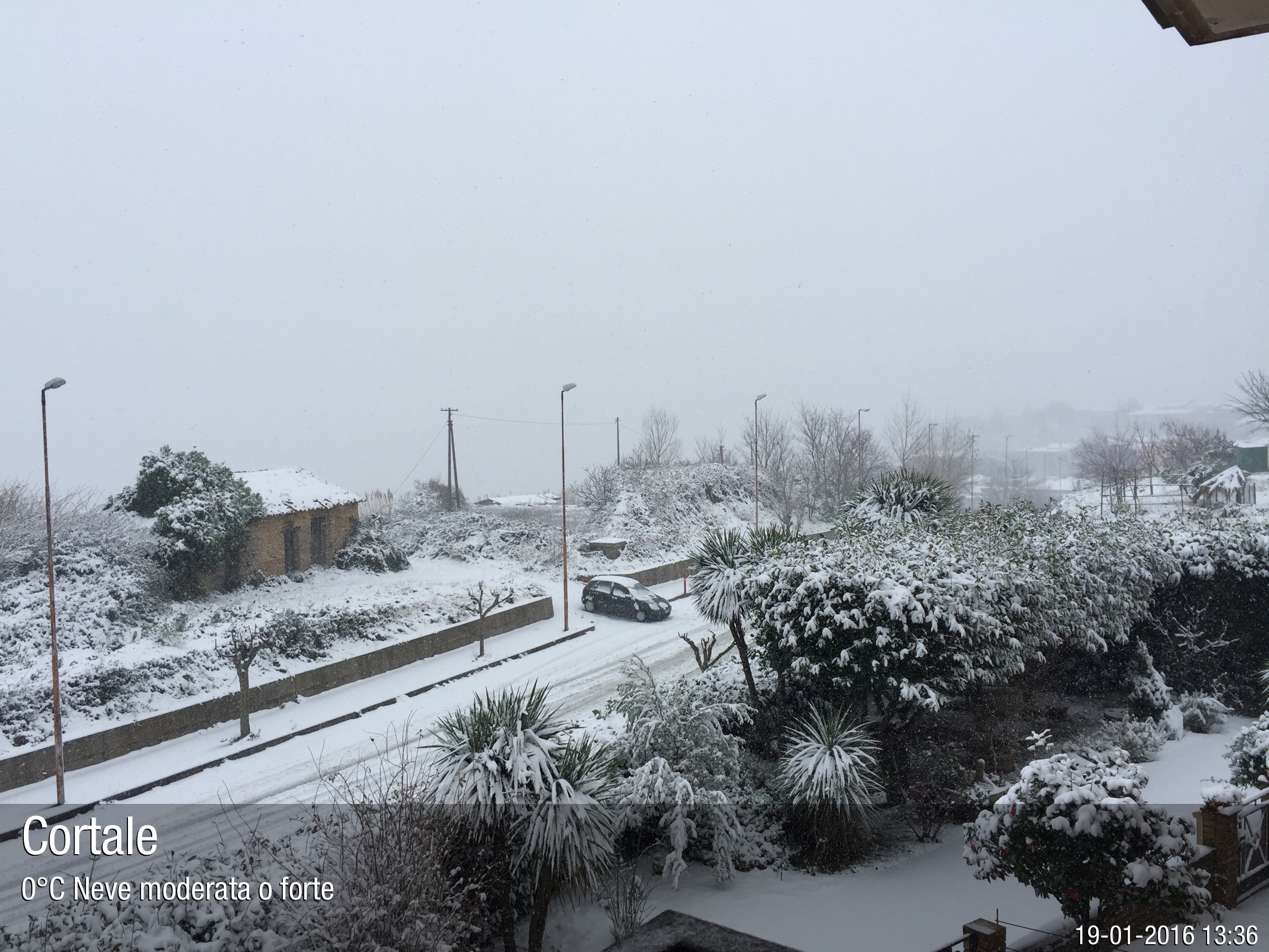 Foto meteo - Cortale - Cortale ore 13:36 » ILMETEO.it