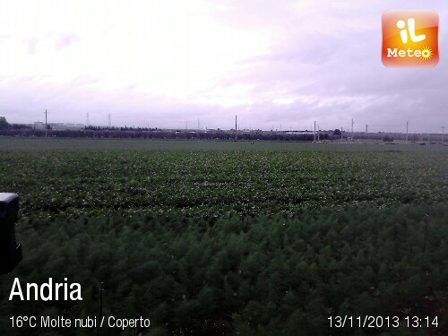 Foto meteo - Andria - Andria ore 13:14 » ILMETEO.it