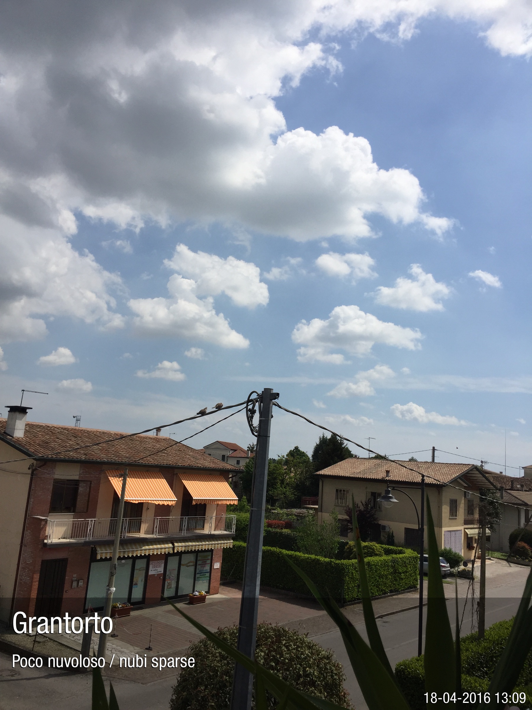 Foto meteo - Grantorto - Grantorto ore 13:09 » ILMETEO.it