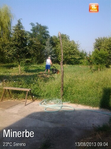 Foto meteo - Minerbe - Minerbe ore 9:04 » ILMETEO.it