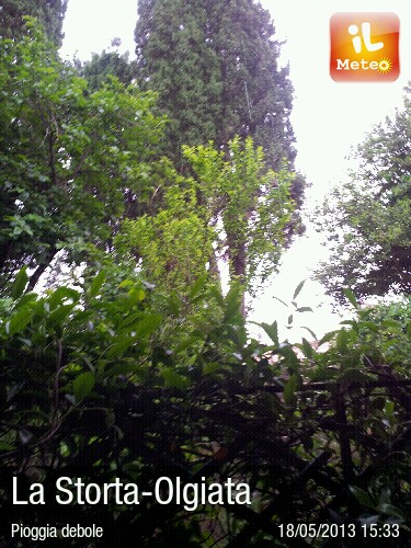 Foto meteo - La Storta-Olgiata - La Storta-Olgiata ore 15:35 » ILMETEO.it