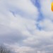 Foto meteo - Medicina (BO) » ILMETEO.it